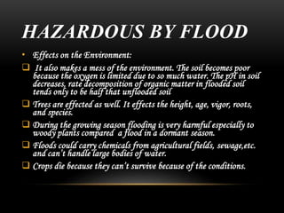 Flood | PPTX