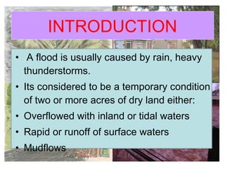 Flood | PPT