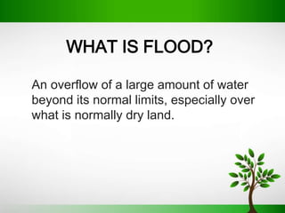Flood | PPTX