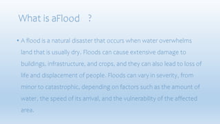 Disaster Management and Risk Reduction: The Flood | PPTX