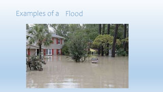 Disaster Management and Risk Reduction: The Flood | PPTX