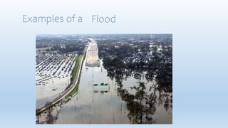 Disaster Management and Risk Reduction: The Flood | PPTX