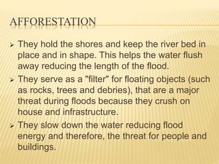 Flood control by Dr Sandeep Yadav | PPTX