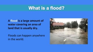 Flood Disaster, Vulnerability and Flood Resilience_ Prevention and ...