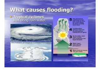 FLOODING | PPT