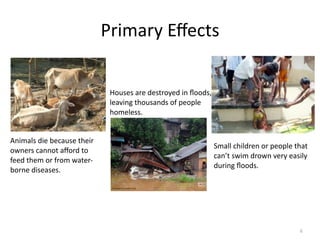Primary Effects Of Flood