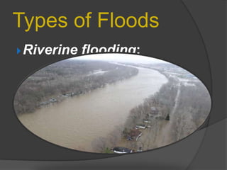 Flooding presentation For Caribbean Studies | PPT