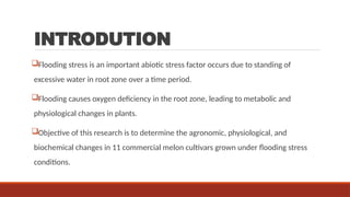 Flooding Stress in plants and this effects | PPTX