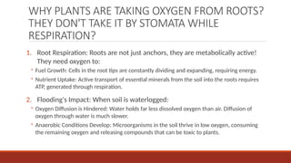 Flooding Stress in plants and this effects | PPTX
