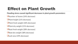 Flooding Stress in plants and this effects | PPTX