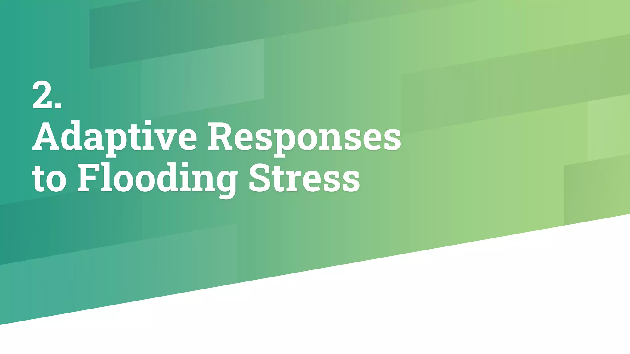 FLOODING STRESS IN PLANT GROWTH AND DEVELOPMENT | PPTX