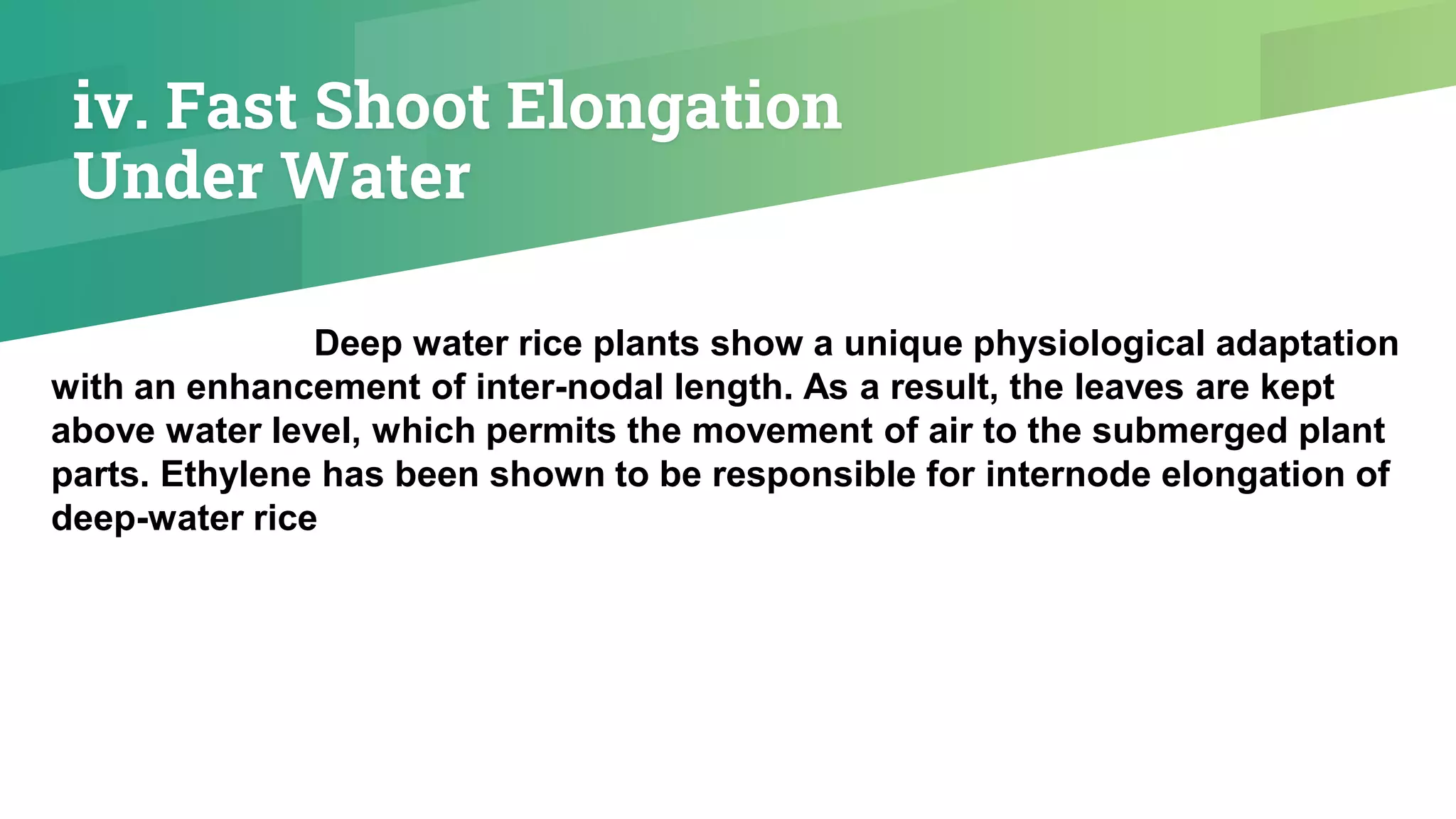 FLOODING STRESS IN PLANT GROWTH AND DEVELOPMENT | PPTX