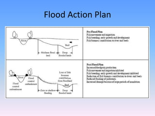 Floodmanagementstrategies | PPTX