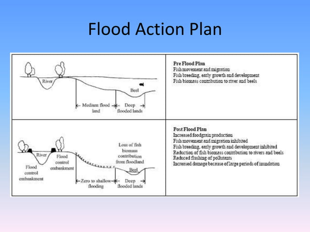 Floodmanagementstrategies | PPTX