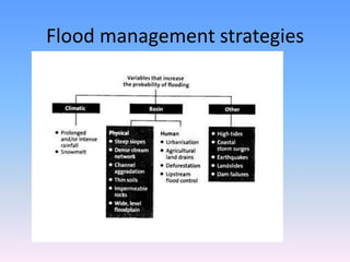 Floodmanagementstrategies | PPTX