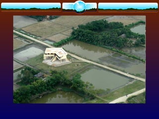 Flood management Ppt | PPT