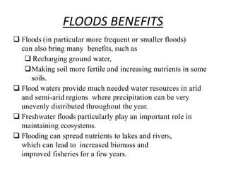 Flood | PPTX