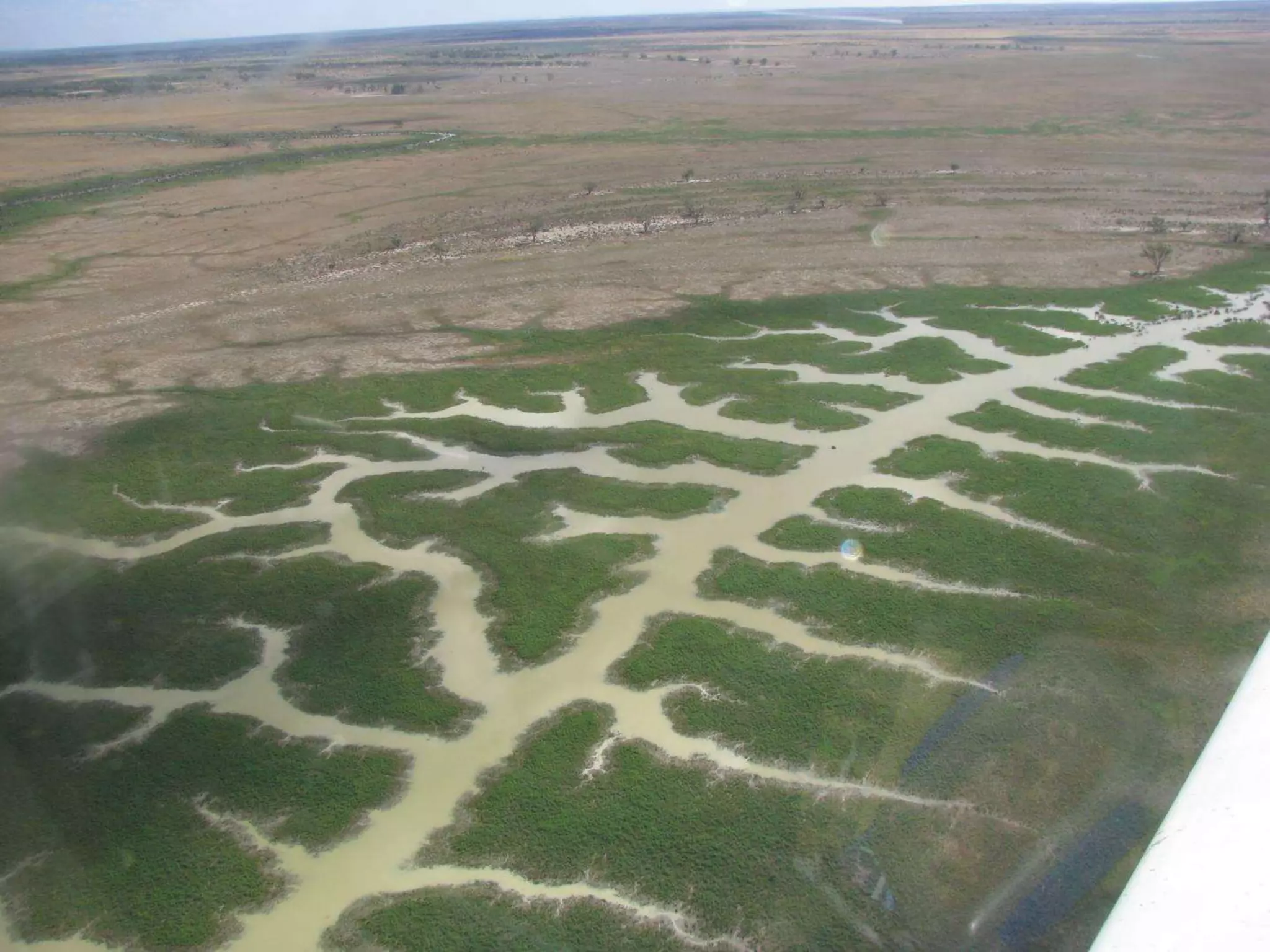 Floodplain presentation | PPTX