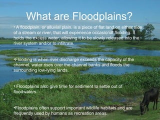 Floodplain presentation 2 | PPT