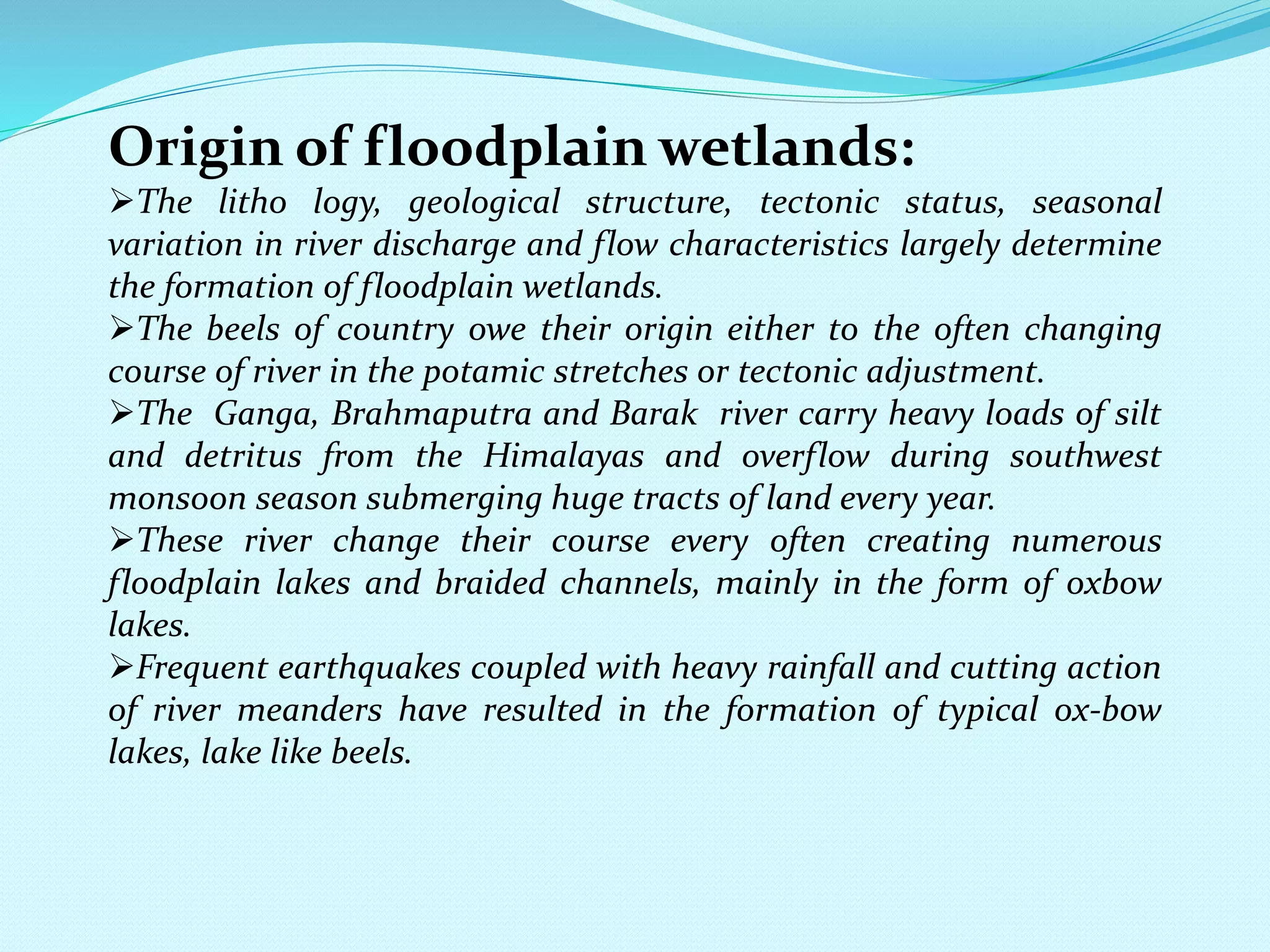 Floodplain wetland | PPTX