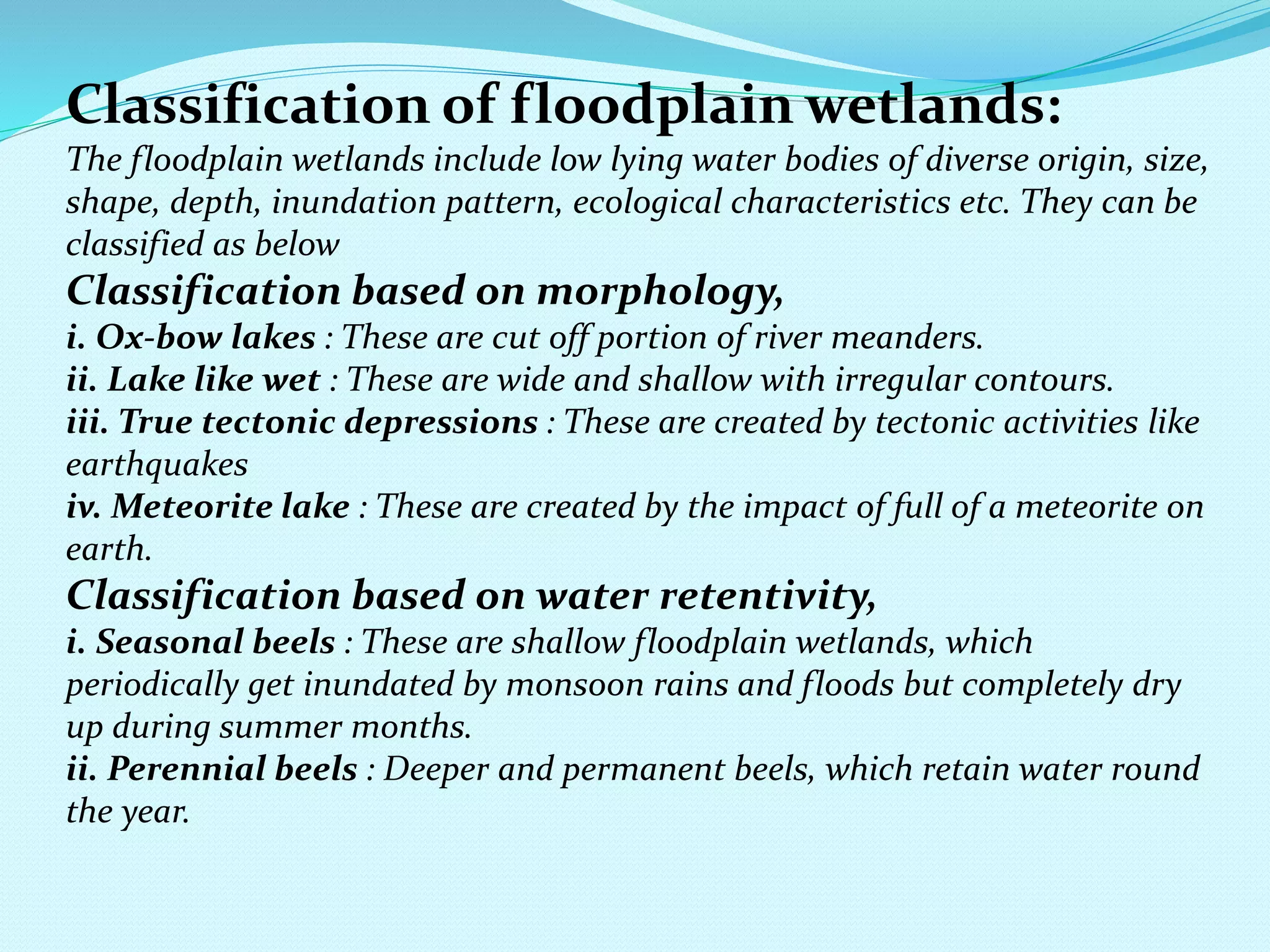 Floodplain wetland | PPTX