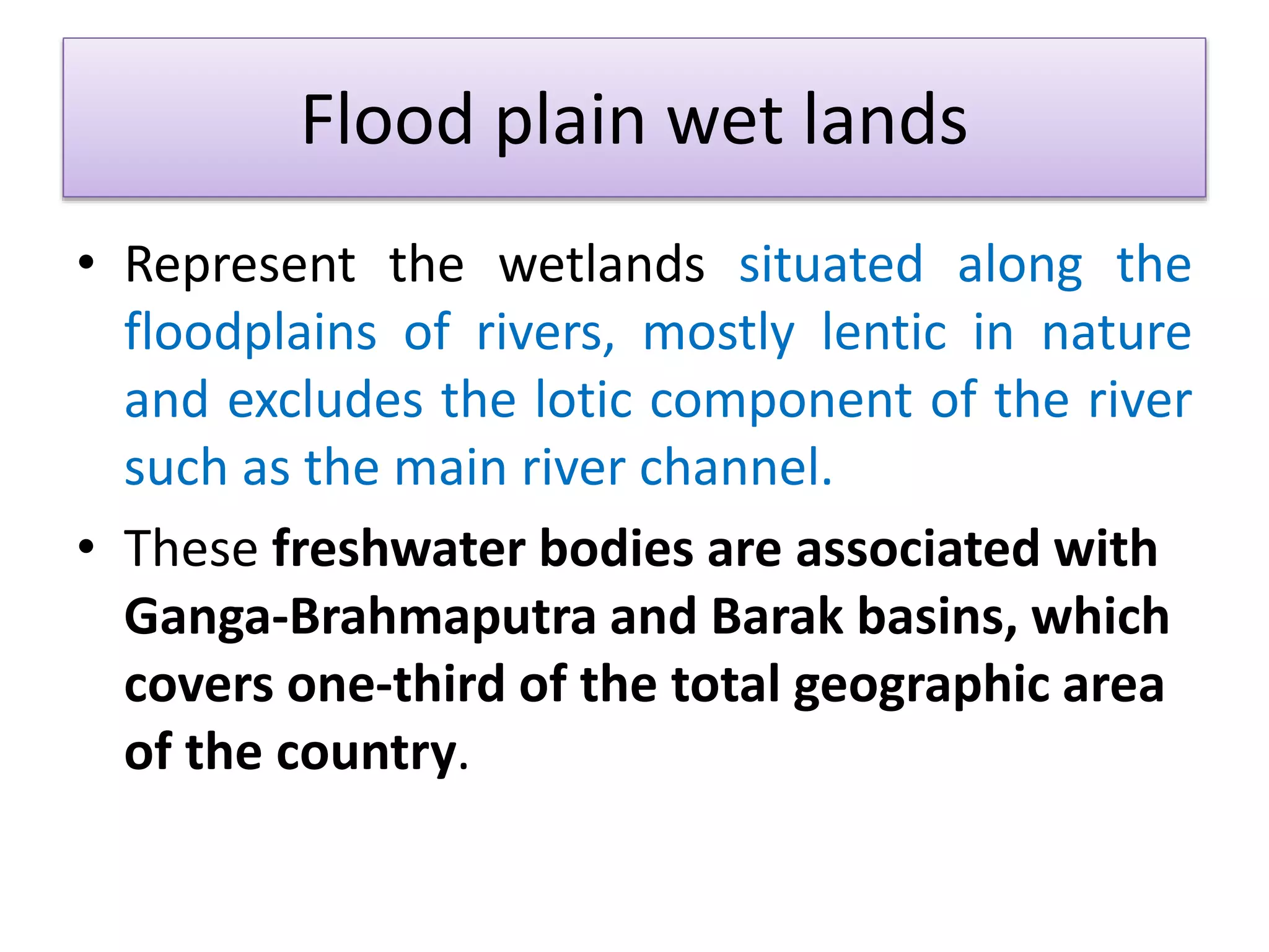 Flood plain wet lands | PPTX