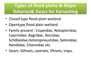Flood plain wet lands | PPTX