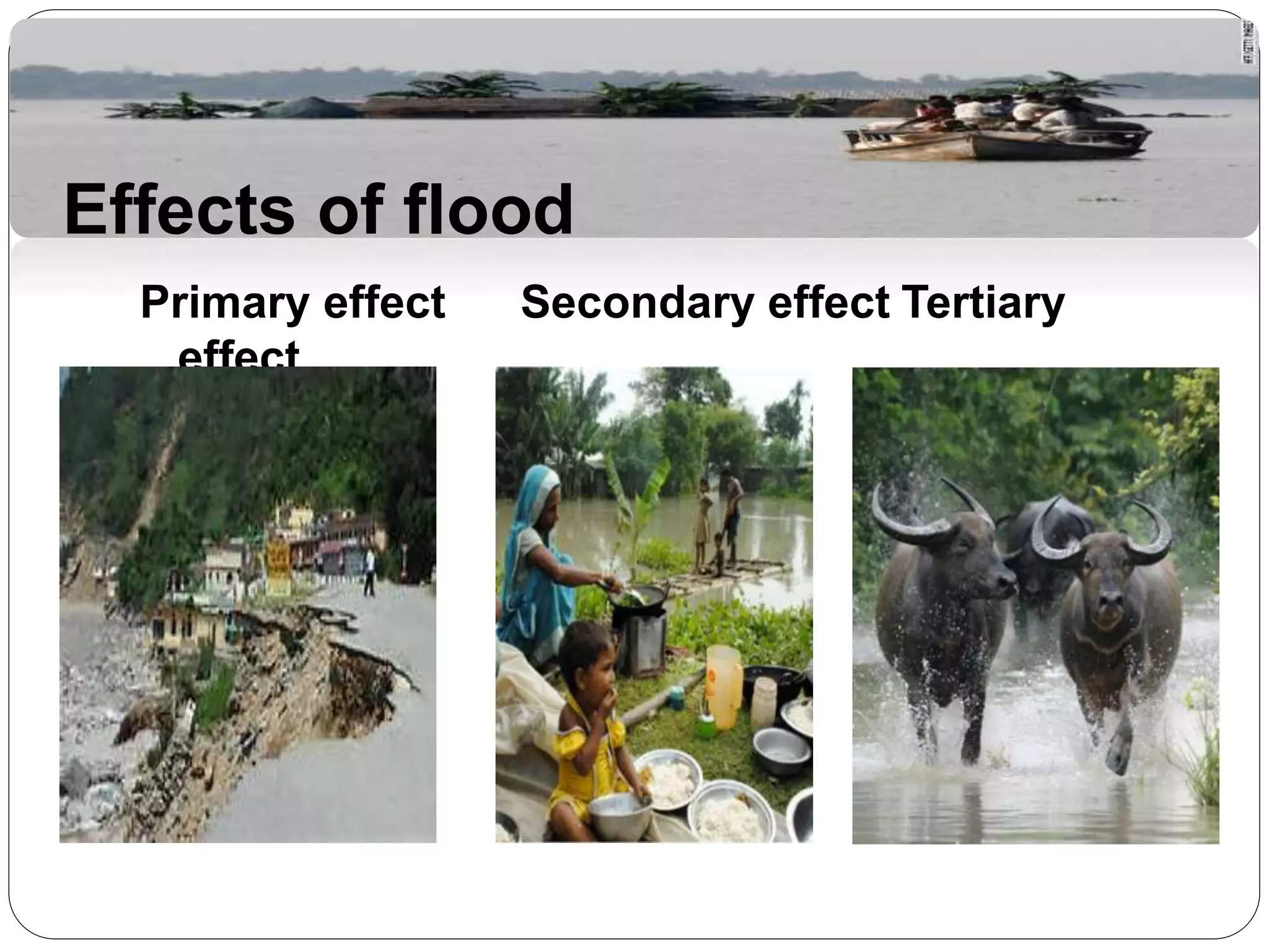 Flood ppt | PPTX