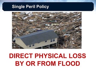 Flood Insurance Update 11/2013 | PPT
