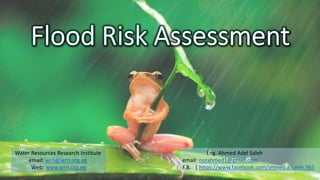 Flood risk assessment: Introduction and examples. | PDF