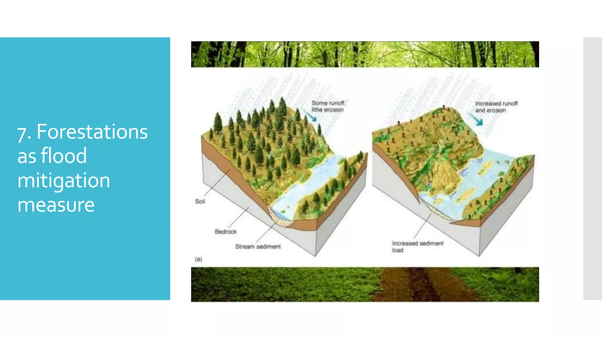 Flood risk Mitigation non structural measures | PPTX