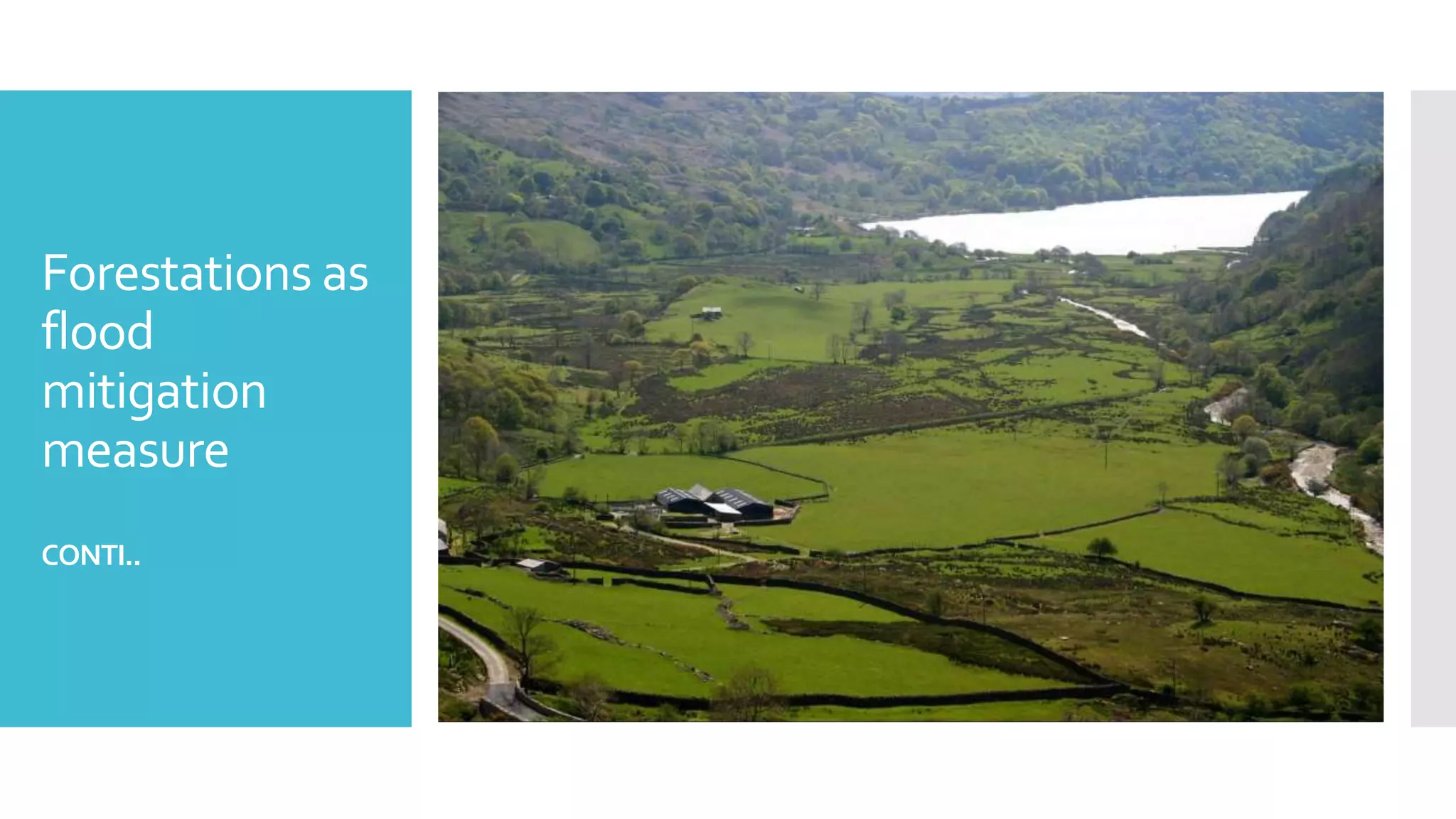 Flood risk Mitigation non structural measures | PPTX