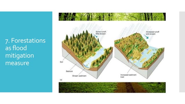 Flood risk Mitigation non structural measures | PPTX