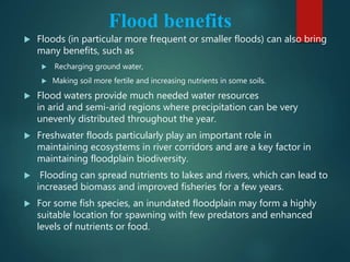 Floods 130611112734-phpapp01 | PPTX