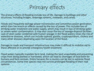 Floods | PPTX