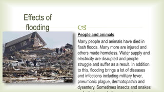 Floods | PPTX