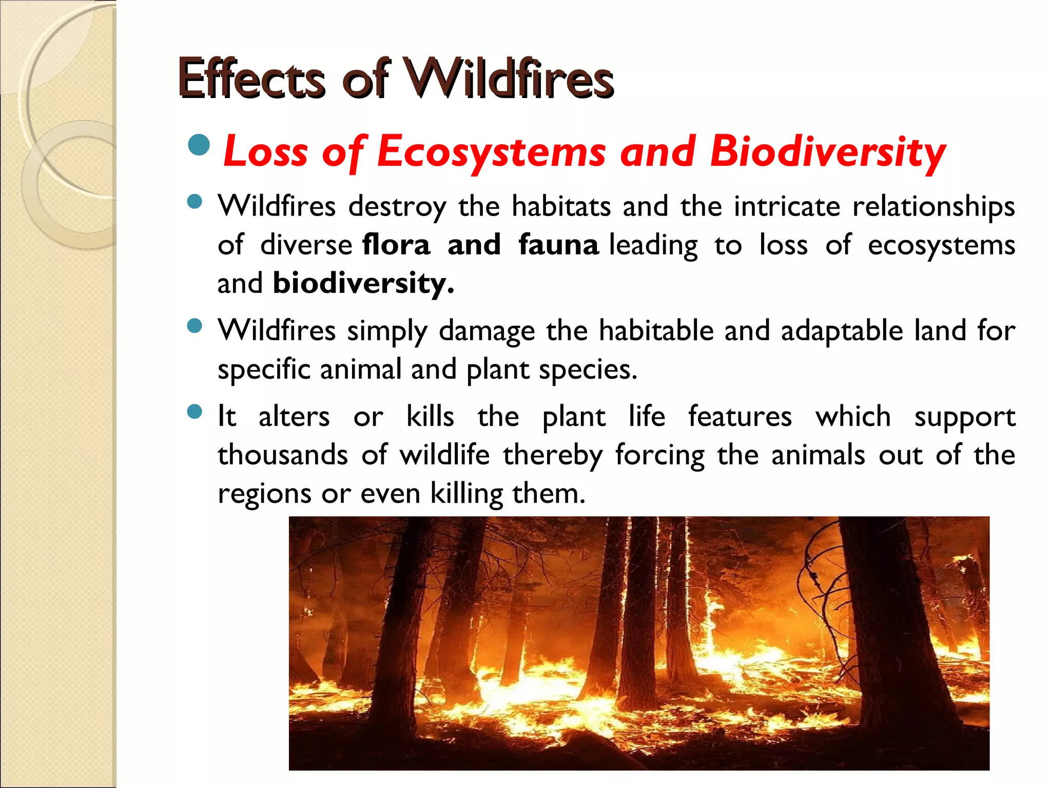 Floods and fire disaster | PPT