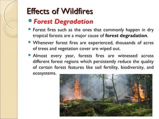 Floods and fire disaster | PPT
