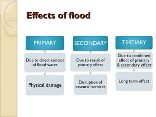 Primary Effects Of Flood