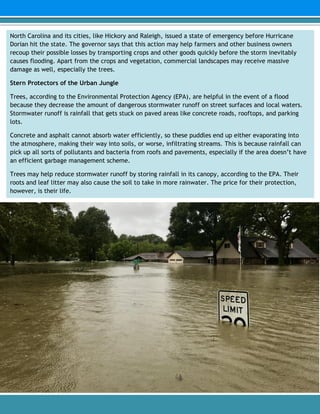 Floods and Their Adverse Effects on a Landscape's Trees | U.S. Lawns | PDF