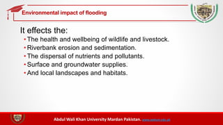 Floods and tsunami | PDF