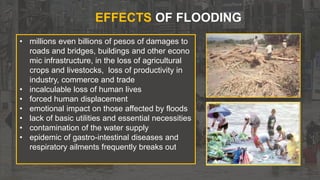 Floods in Manila | PPTX