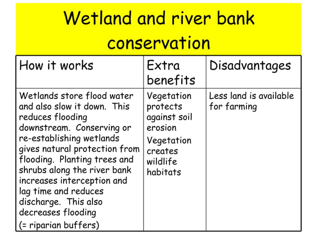 Flood Solutions – Soft Engineering Strategies | PPT