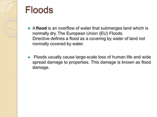 FLOODSPPT.pptx