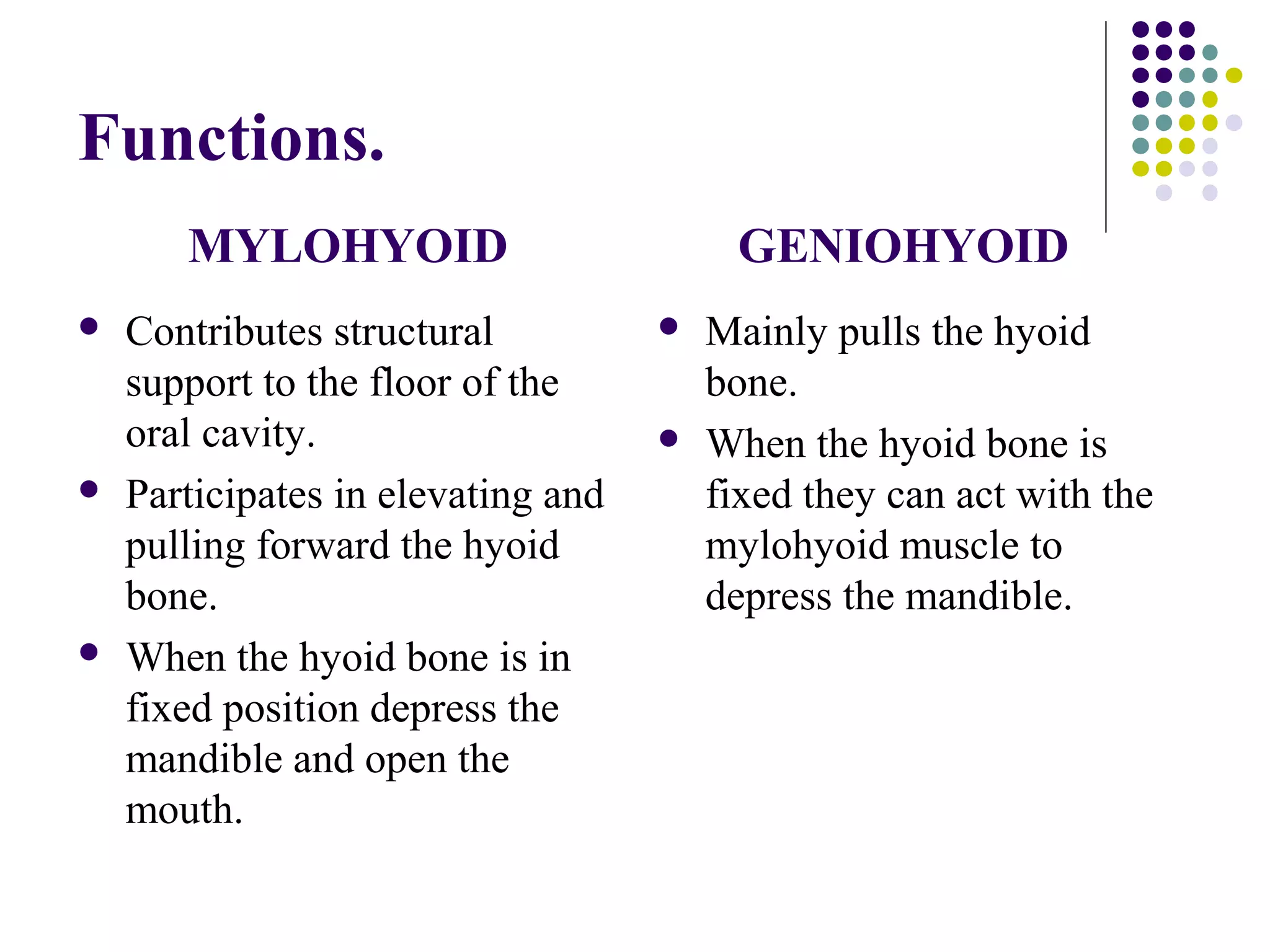 Floor of the mouth | PPT