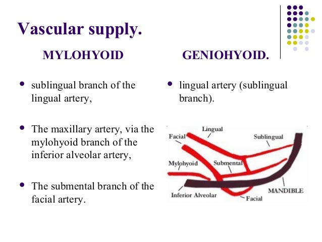 Sublingual Artery