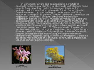Flora de venezuela | PPTX
