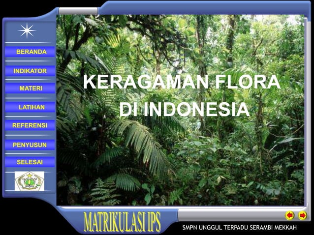 Flora | PPT