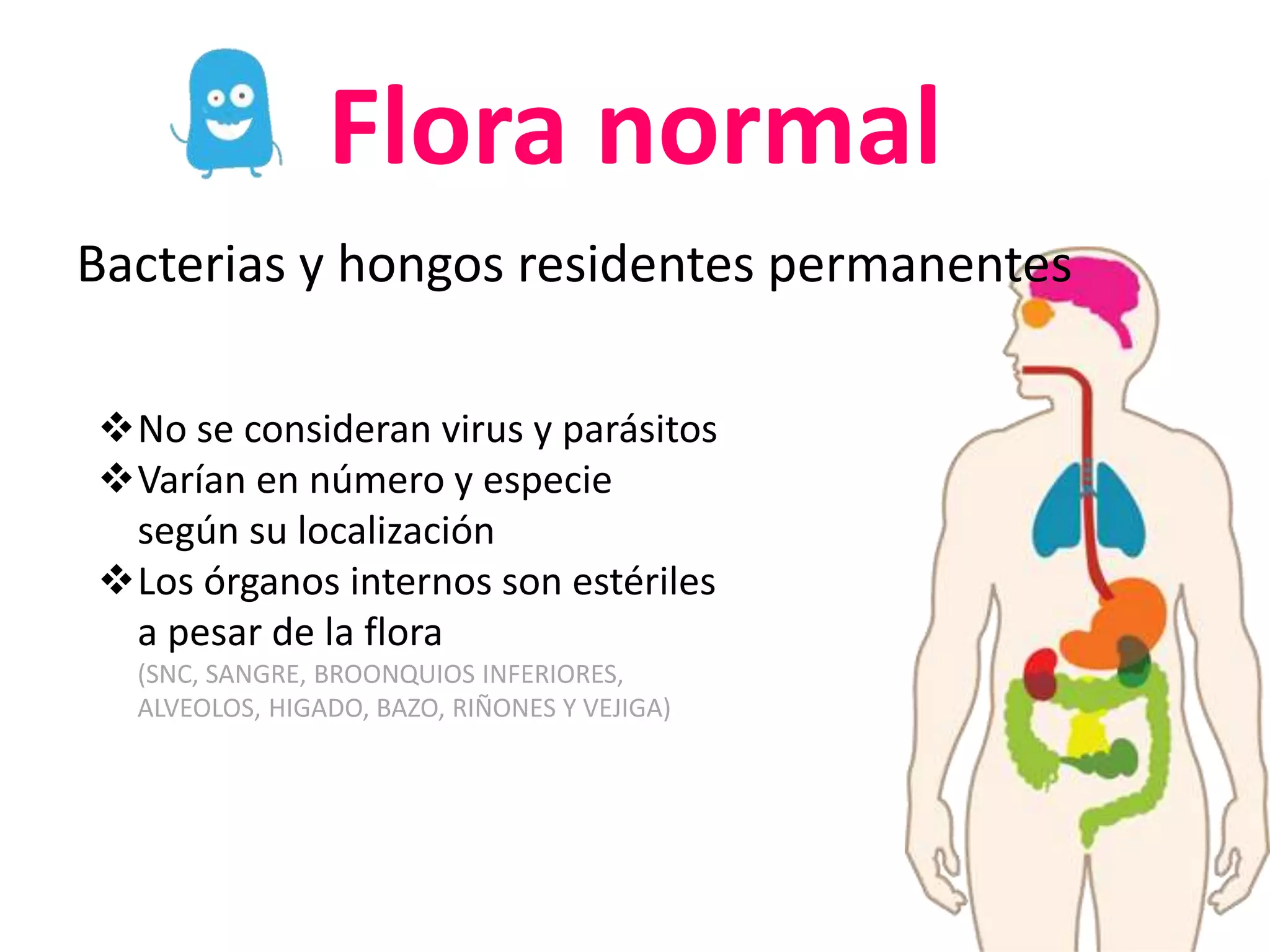 Flora Normal bacteriana | PPTX