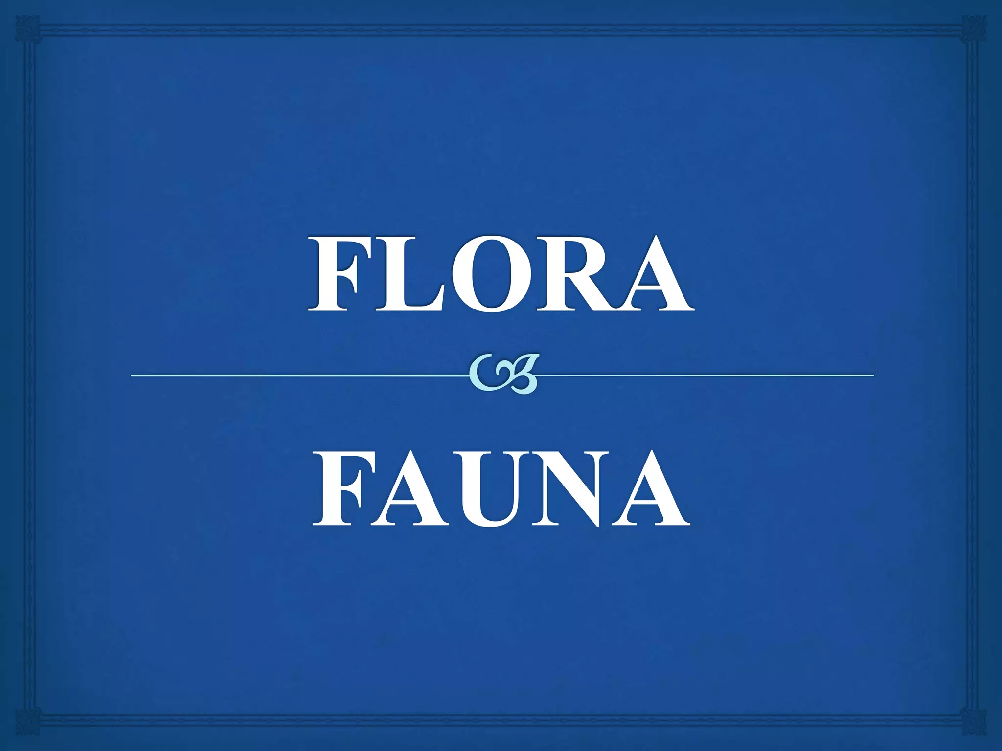 Flora and Fauna in the Philippines | PPTX
